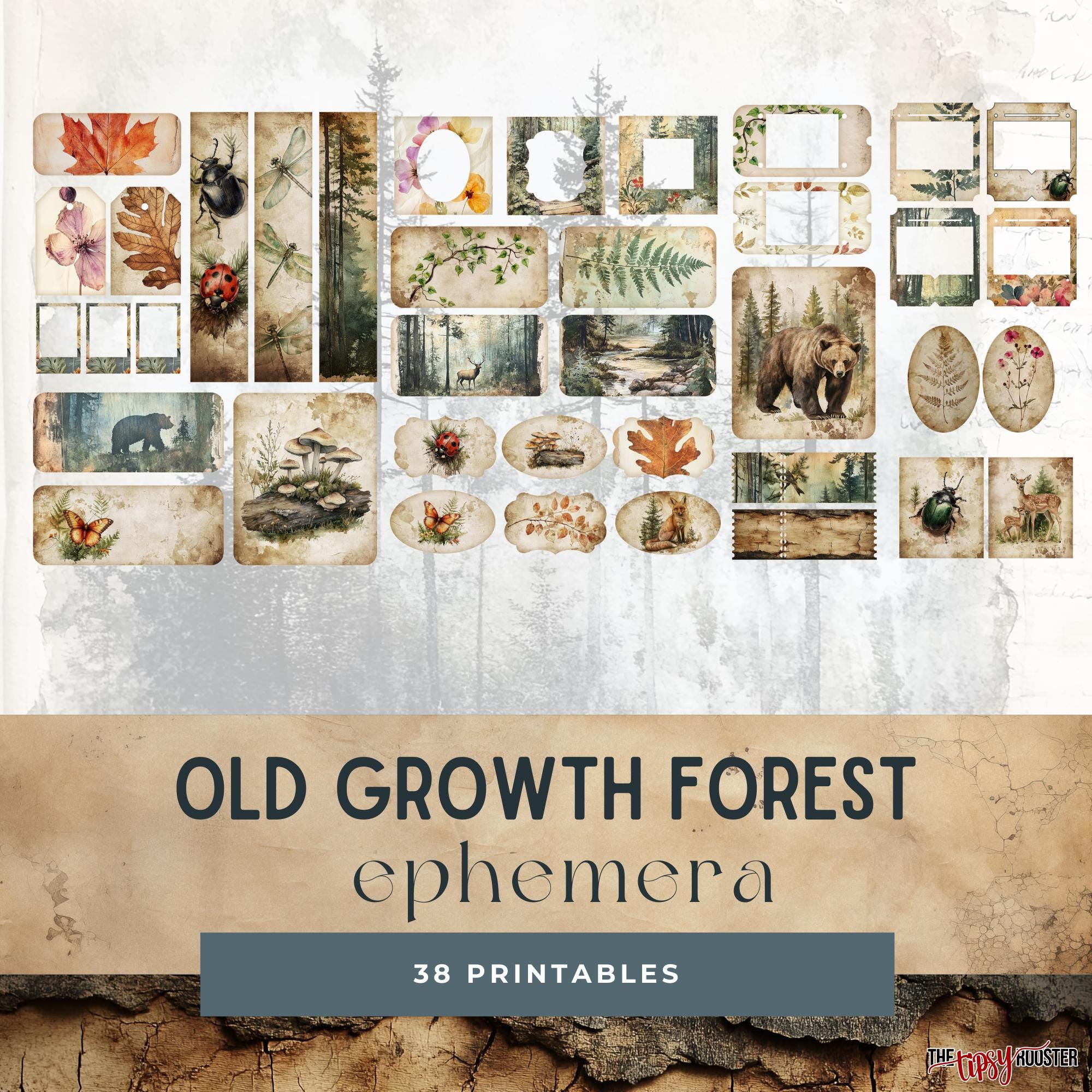 Forest Junk Journal Supplies, Nature Ephemera, Rustic Journal ...