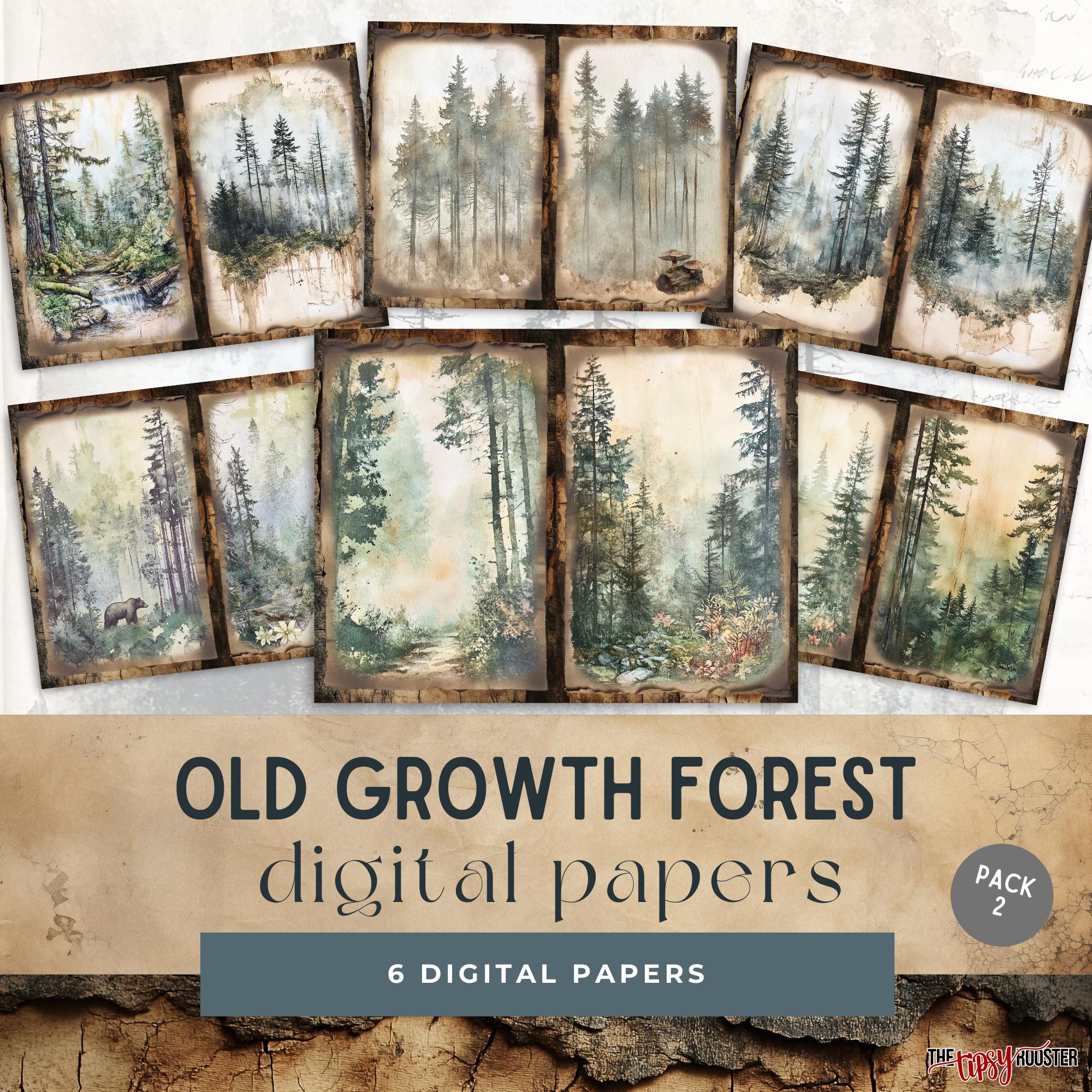 Forest Junk Journal Supplies, Nature Ephemera, Rustic Journal ...