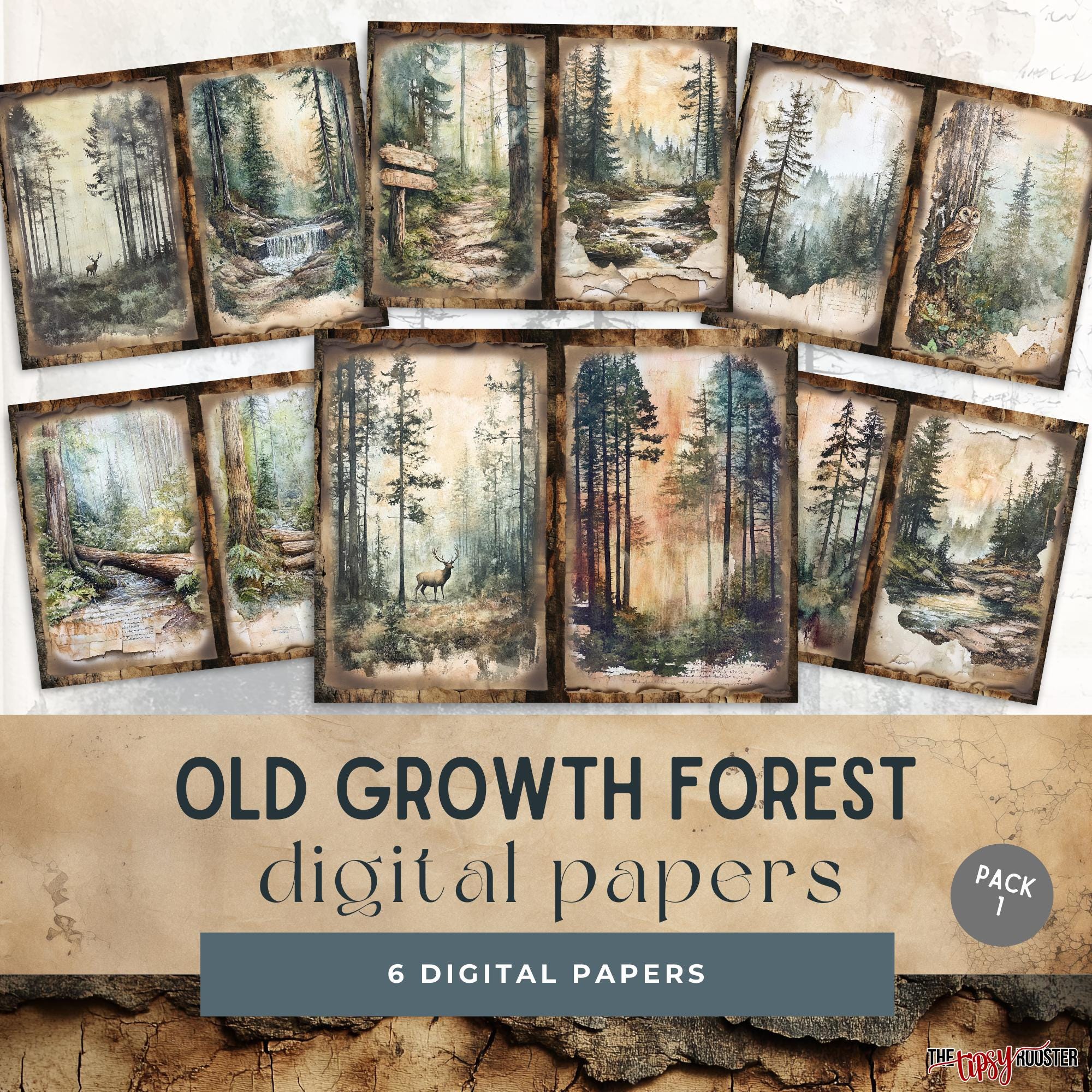 Forest Junk Journal Supplies, Nature Ephemera, Rustic Journal ...