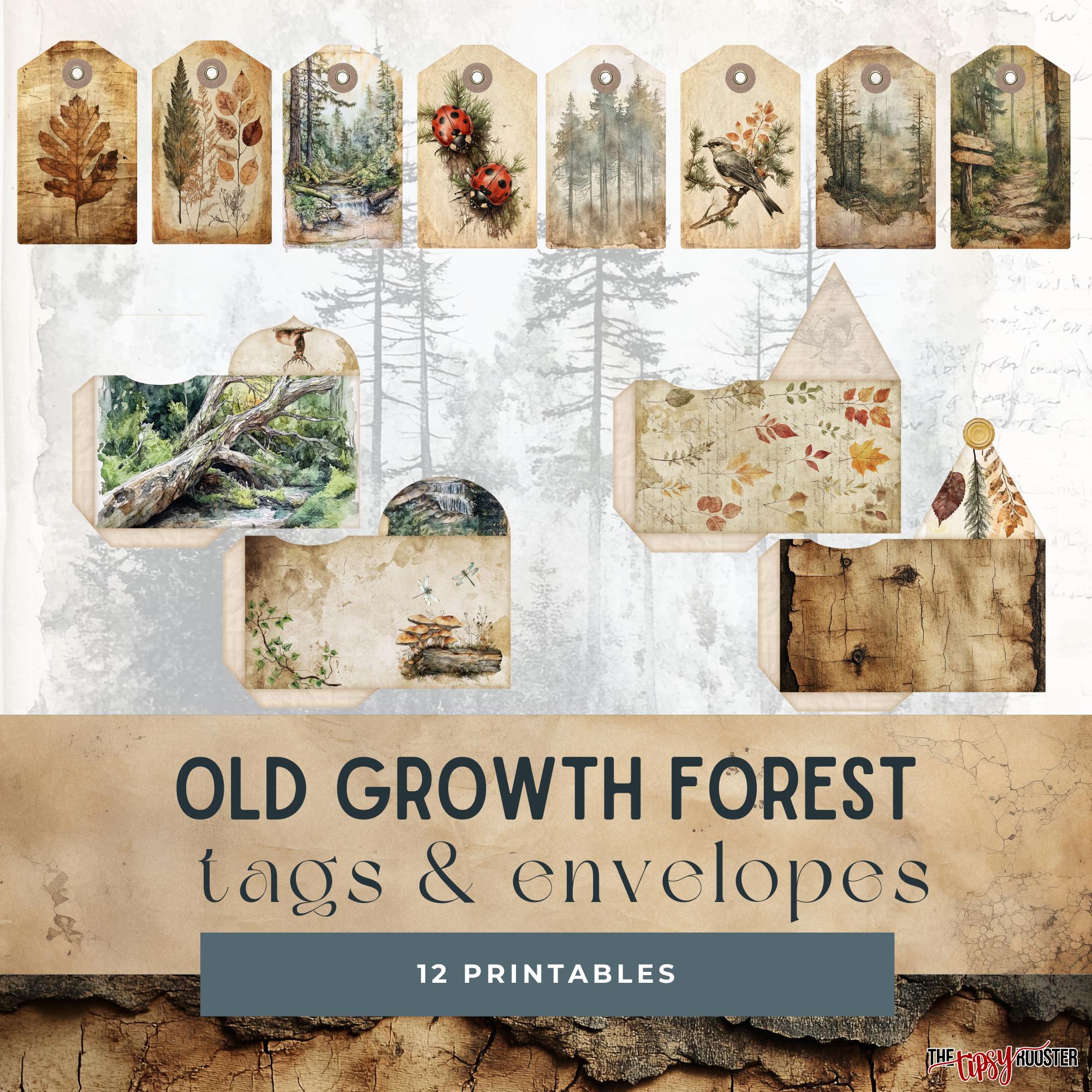 Forest Junk Journal Supplies, Nature Ephemera, Rustic Journal ...