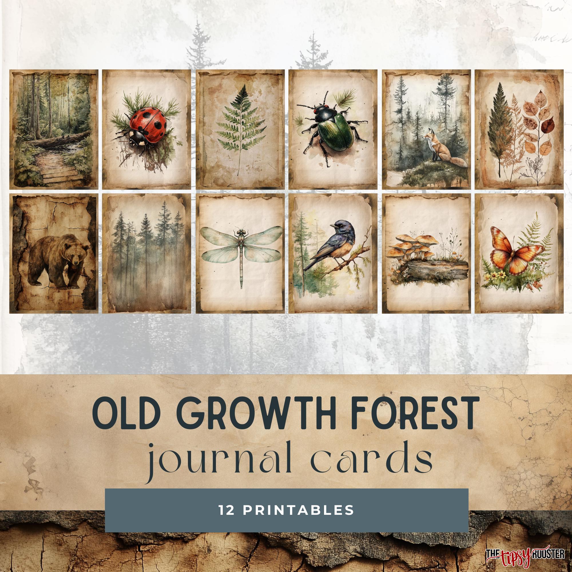 Forest Junk Journal Supplies, Nature Ephemera, Rustic Journal ...