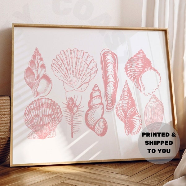 Pink Seashells - Etsy