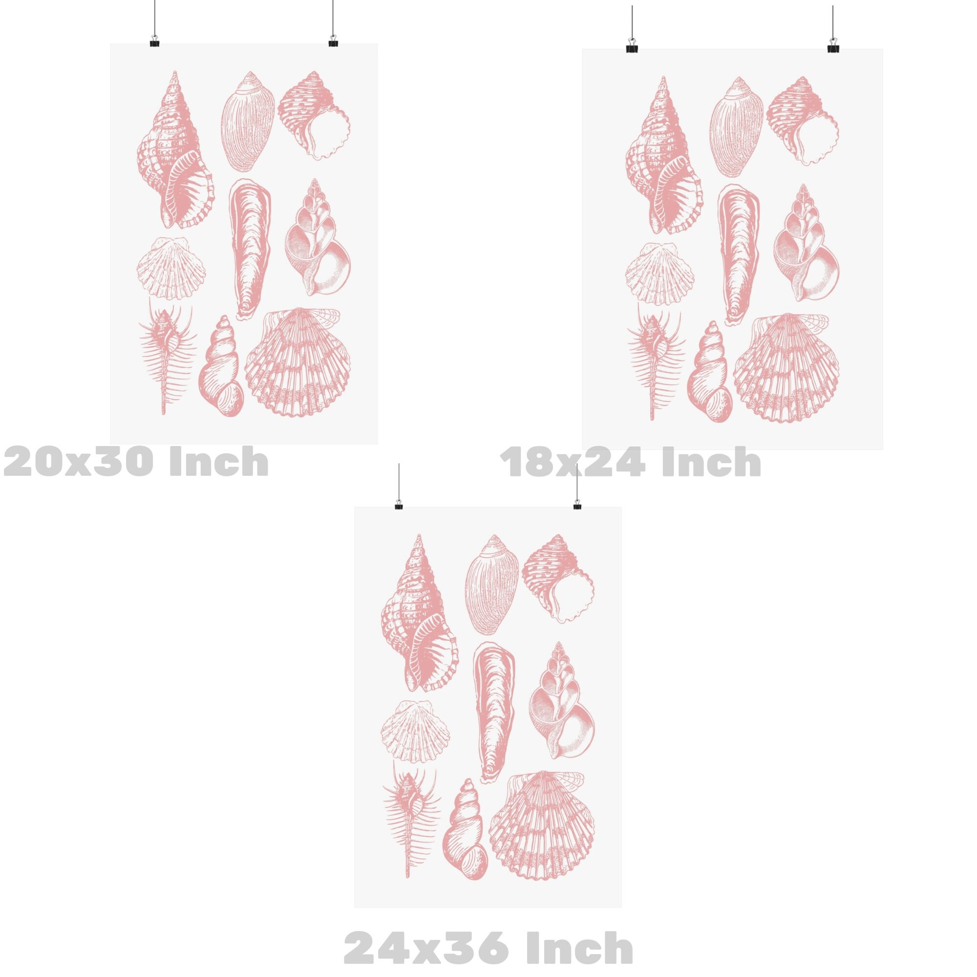Seashell Print in Pastel Pink, Trendy Coastal Cowgirl Wall Art, Beachy ...
