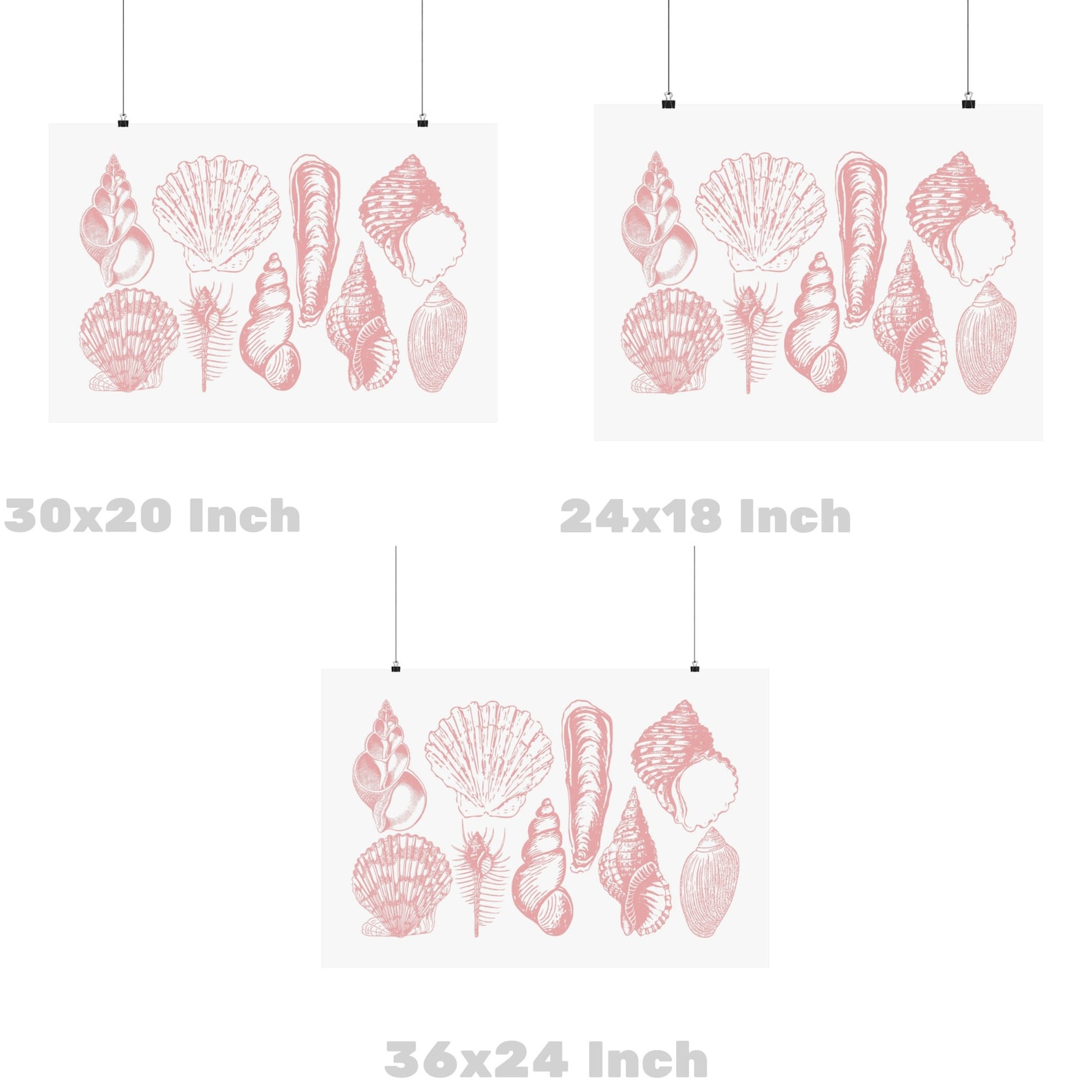 Landscape Pastel Pink Seashells Sketch Print, Trendy Coastal Cowgirl ...