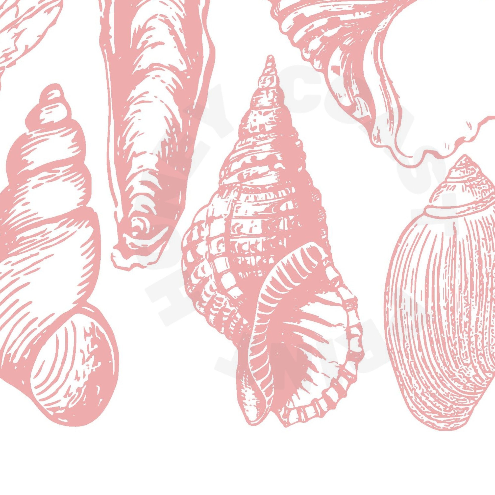 Landscape Pastel Pink Seashells Sketch Print, Trendy Coastal Cowgirl ...