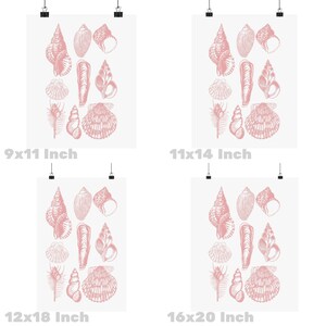 Seashell Print in Pastel Pink, Trendy Coastal Cowgirl Wall Art, Beachy ...