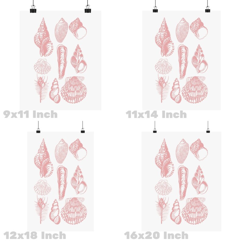 Seashell Print in Pastel Pink, Trendy Coastal Cowgirl Wall Art, Beachy ...