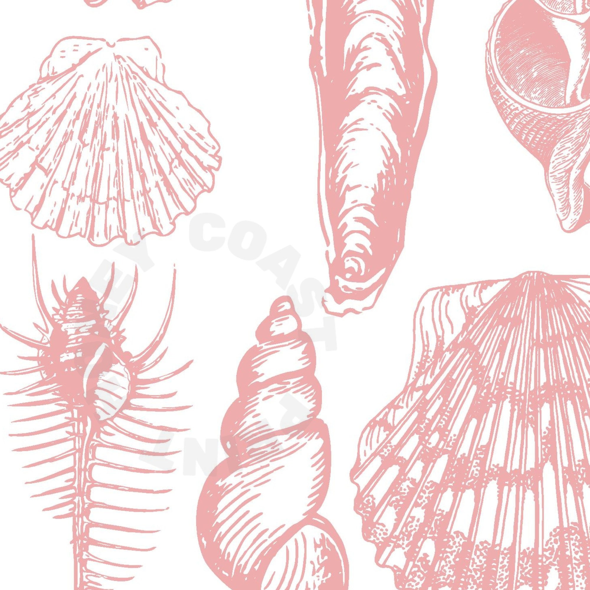 Seashell Print in Pastel Pink, Trendy Coastal Cowgirl Wall Art, Beachy ...