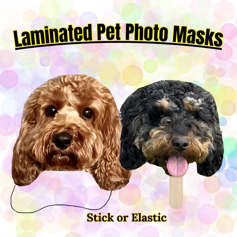 Face Mask Cats - Etsy