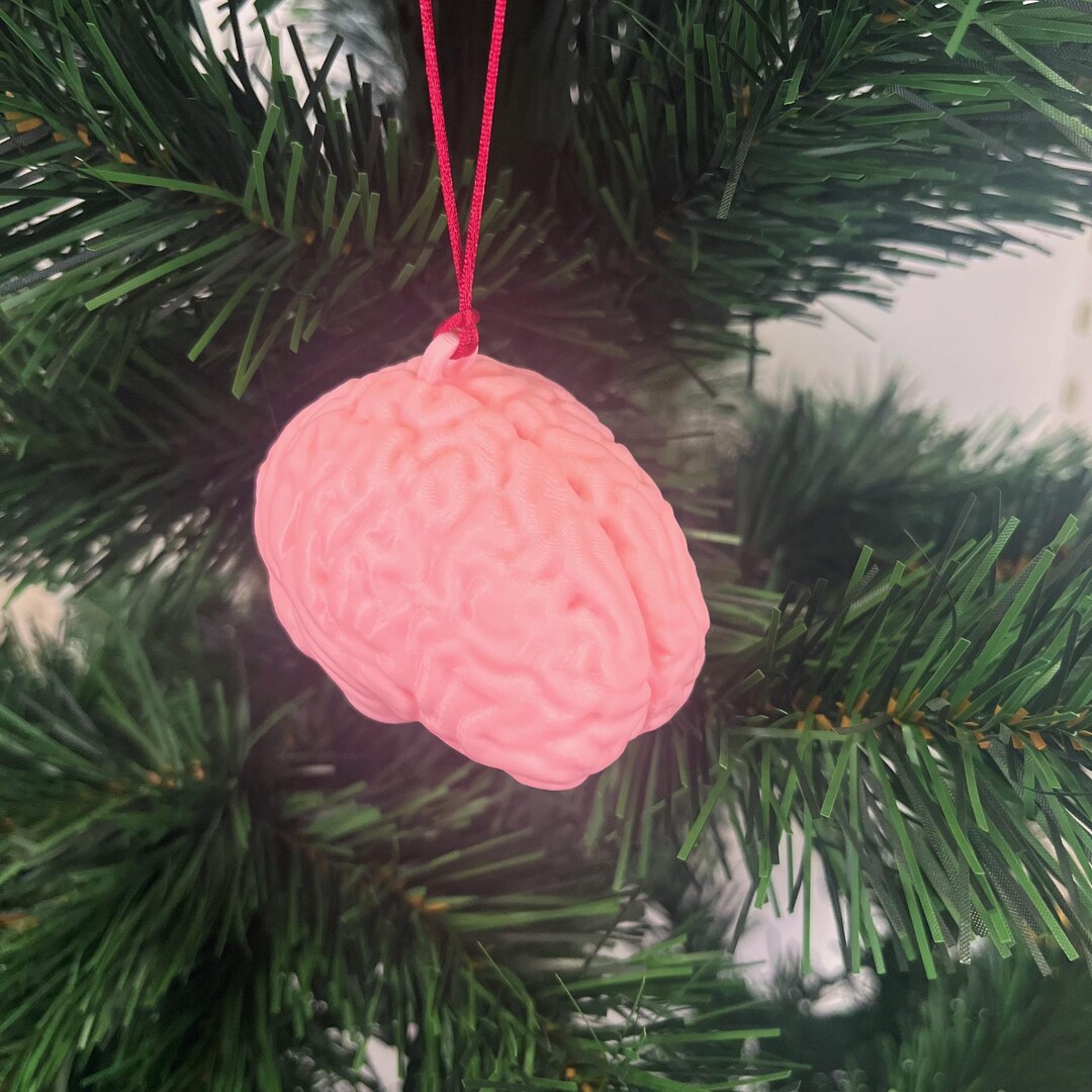 Anatomical Brain Ornament, Doctor Ornament, Medical Christmas Ornament ...