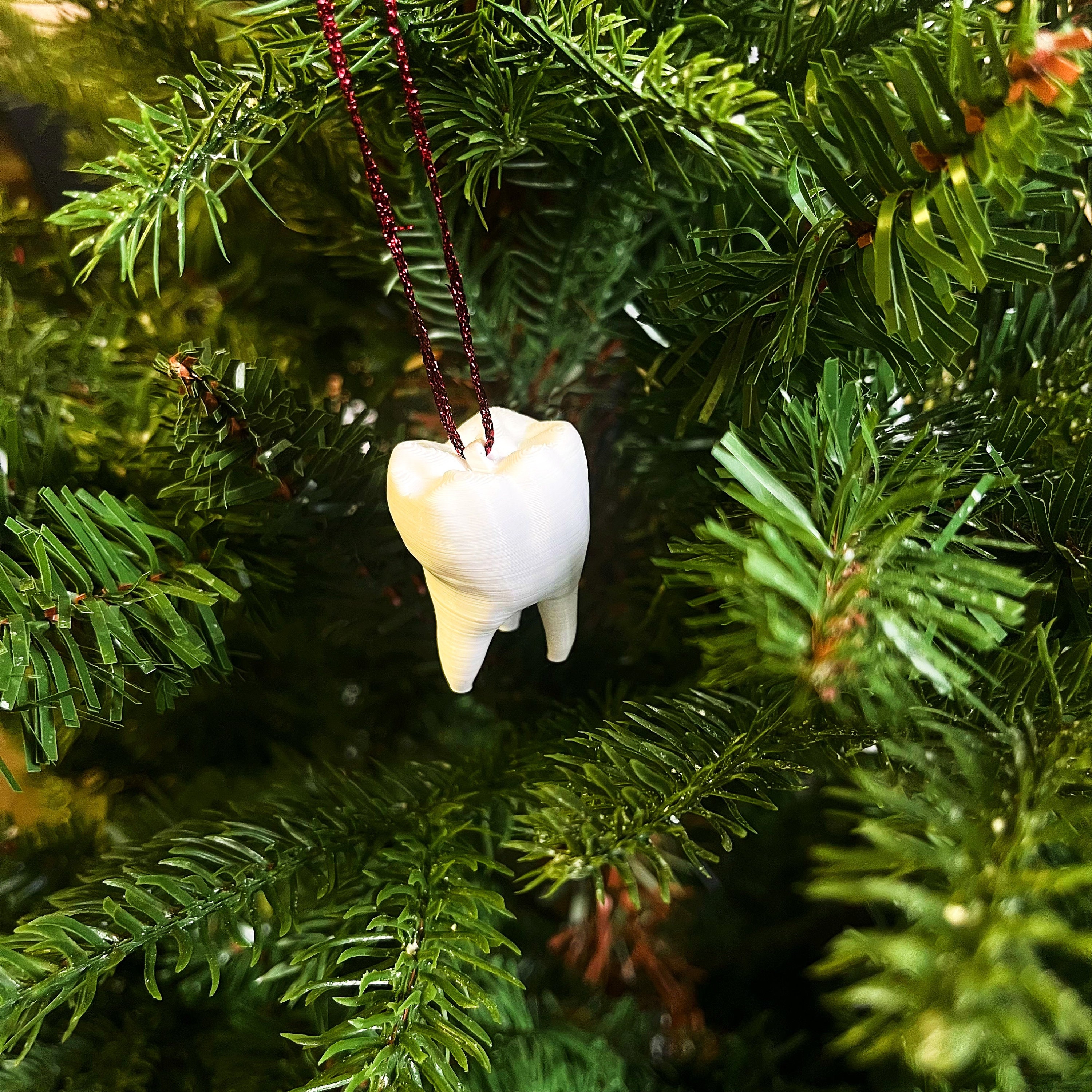 Tooth Ornament, Dentist Ornament, Dental Christmas Ornament, Dental ...