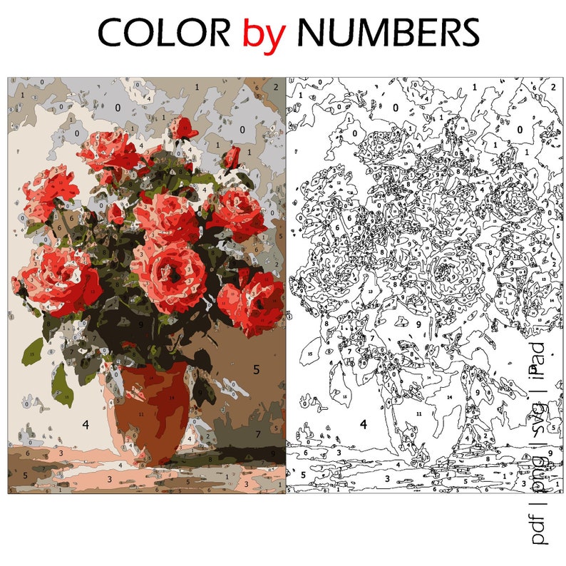 Pink Roses Color by Numbers: Printable Pages for Procreate (digital ...