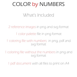Color by Numbers Bundle: 60+ Digital Coloring Designs (PDF, SVG, PNG ...