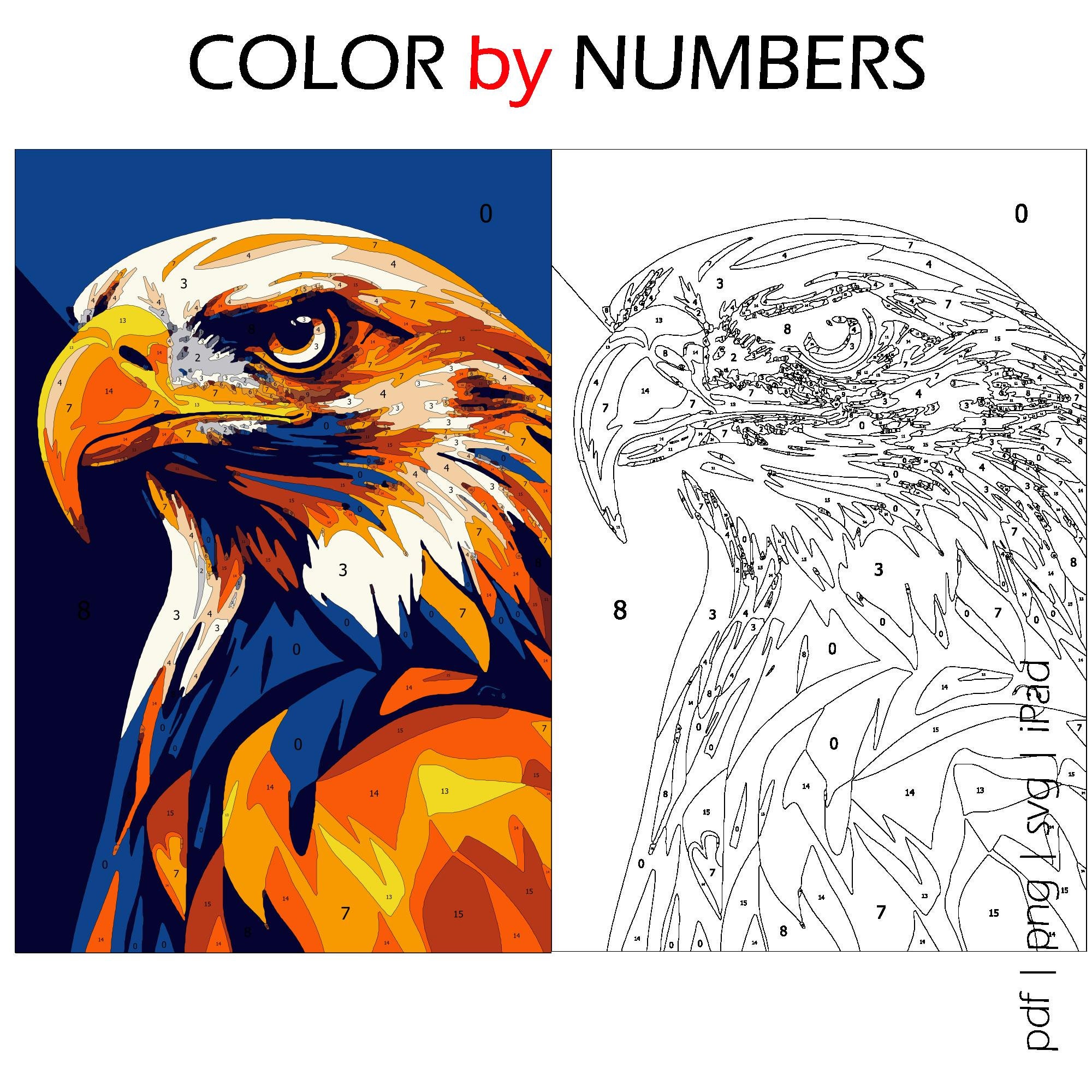 Color by Numbers for Adults Eagle Printable Paint by Numbers Digital ...