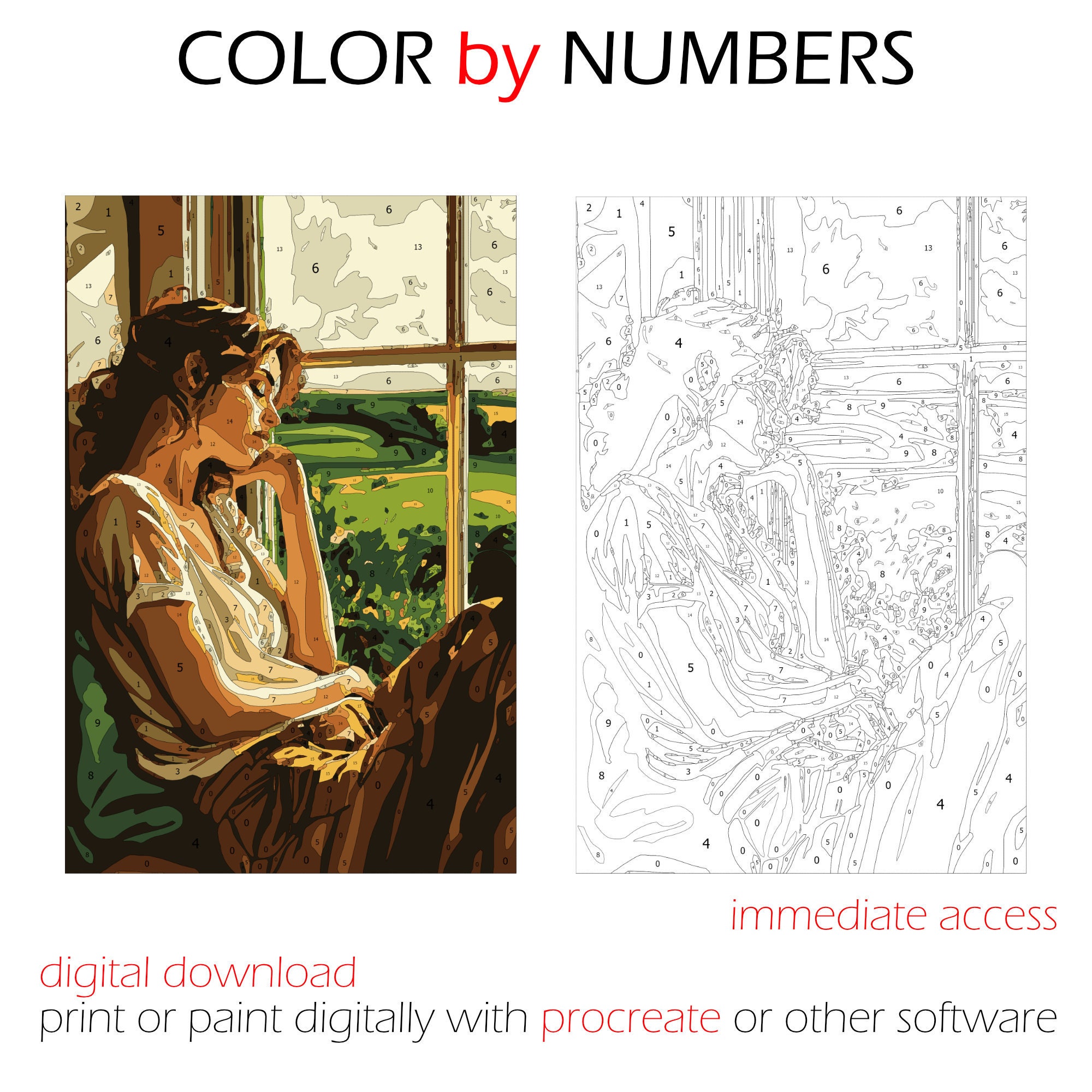 Sleeping Beauty Color by Numbers: Printable Procreate iPad Coloring ...