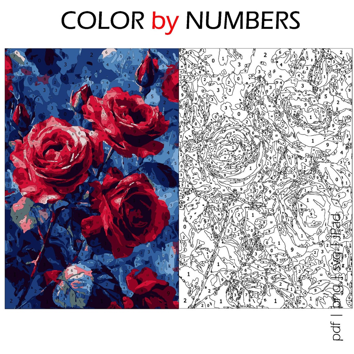 Red Roses Color by Numbers: Printable Floral Painting (digital Download ...