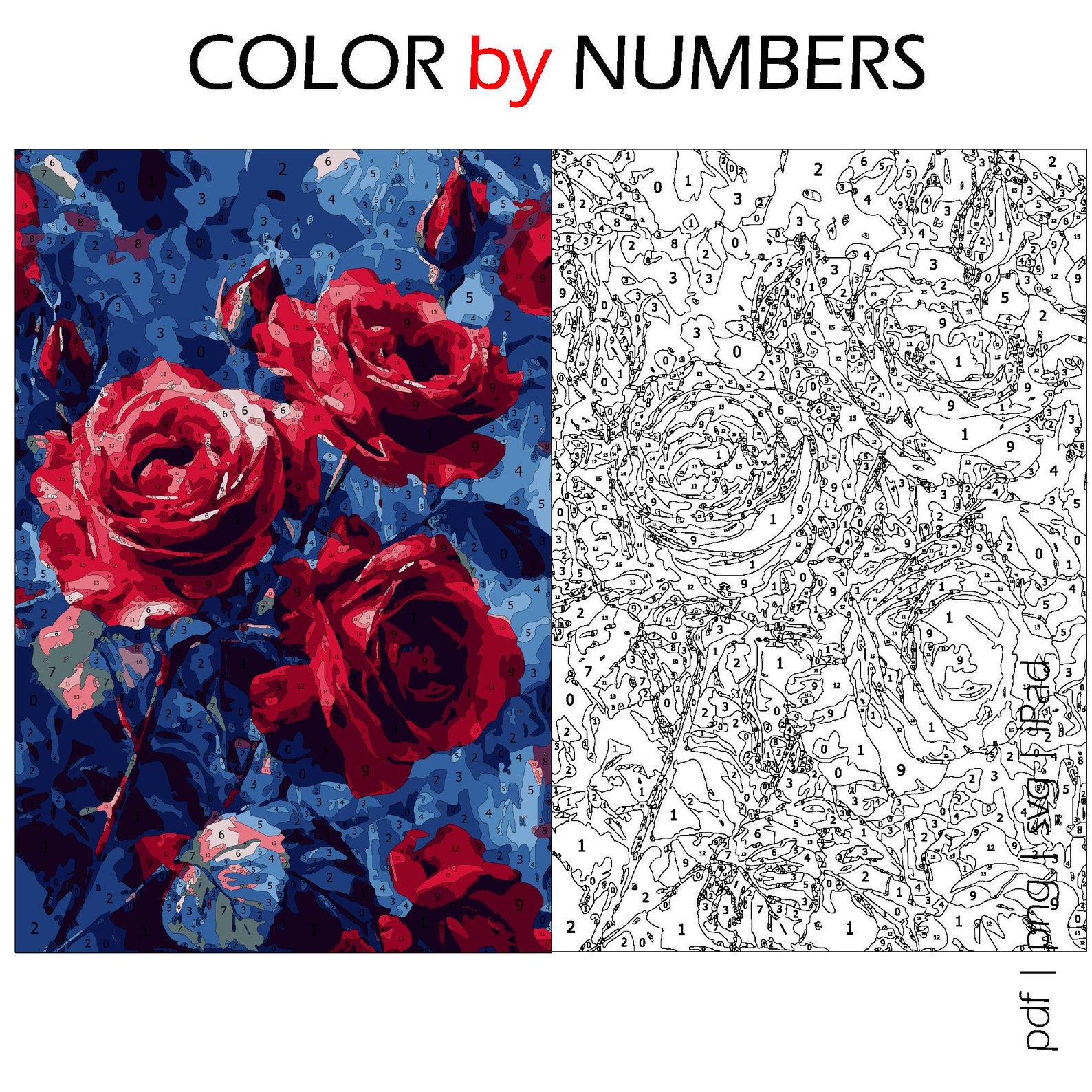 Red Roses Color by Numbers: Printable Floral Painting (digital Download ...