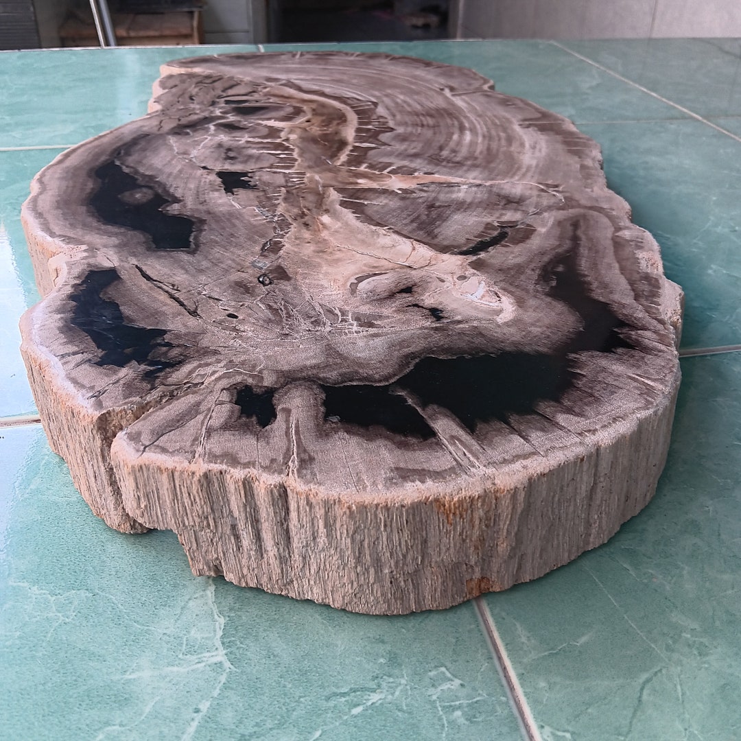 Petrified Wood Slabs Coffe Table / Stone Coffe Table/ Versteendhout ...
