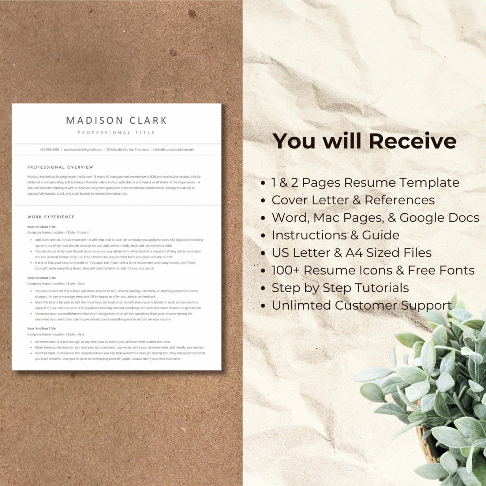 Minimalist Resume Template, Professional Modern Resume Template Word ...