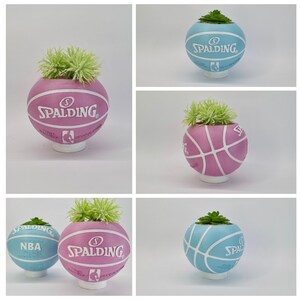 Basketball Planter Nba,unique Planter for Home,basketball Players Gift ...