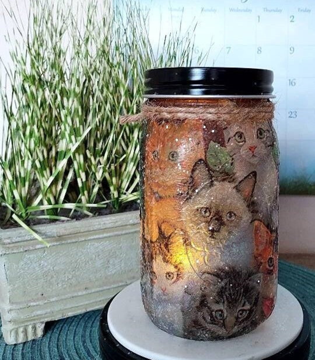 CAT Lighted Decoration, Cat Decoration, Lighted Decoration, Lighted ...