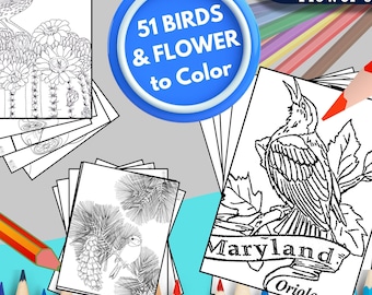 state birds and flowers coloring book