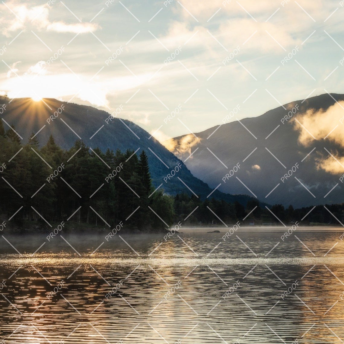 4 Proof Watermark PNG | 1 PDF | Protect Your Online Designs, Photos ...