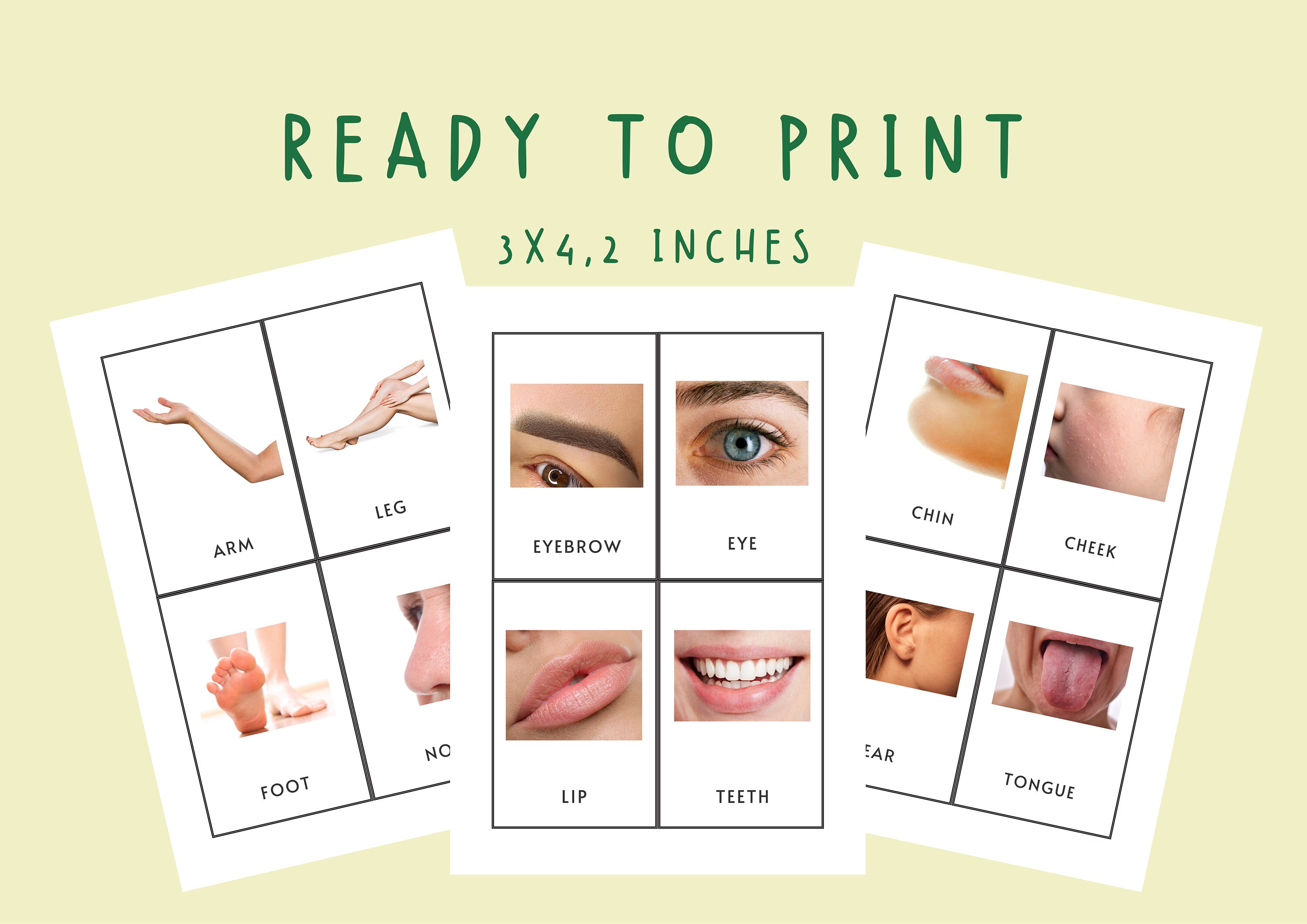 22 Body Part Flash Cards Montessori Educational Printables - Etsy Canada