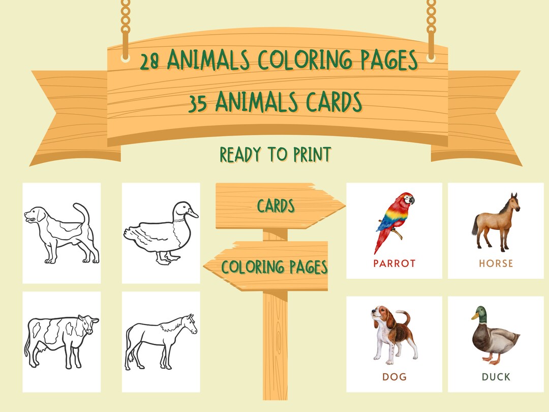 35 Animal Flash Cards & 28 Coloring Pages Preschool - Etsy