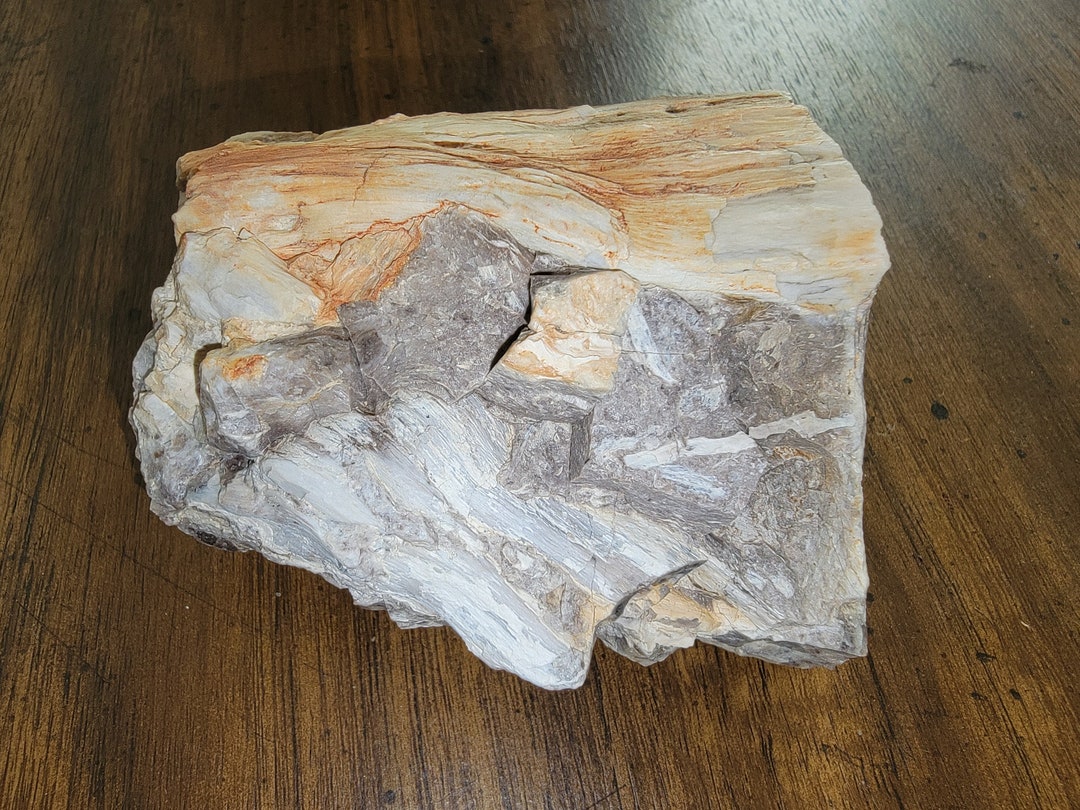 Petrified Wood Branch/limb Cast in Gray to Purple Chalcedony - Etsy