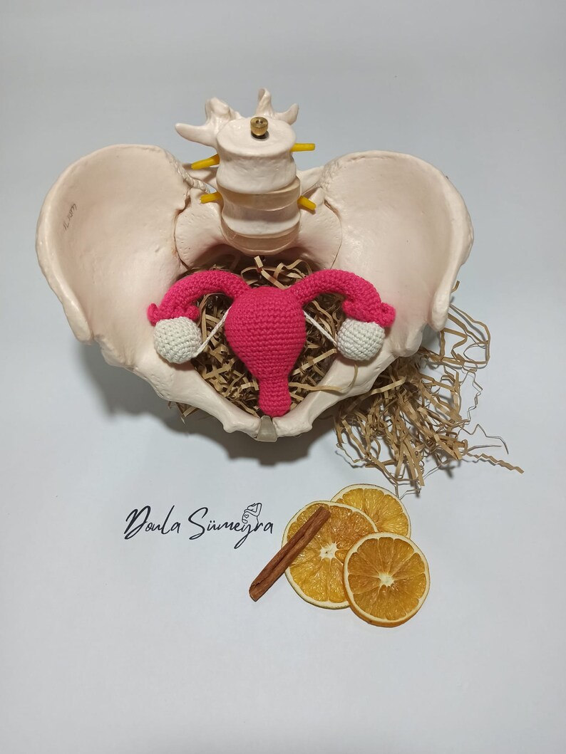 Plush Uterus With Ovaries Funny Gift for Midwife Stuffed Womb Mother's ...