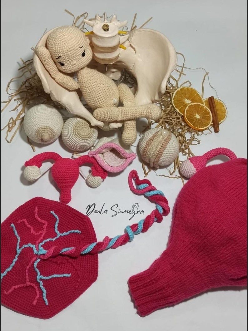 Plush Uterus With Ovaries Funny Gift for Midwife Stuffed Womb Mother's ...