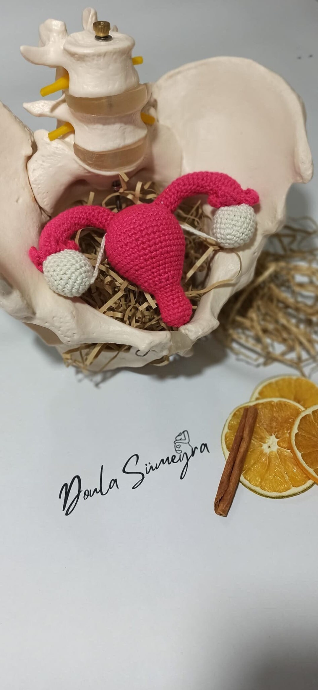 Plush Uterus With Ovaries Funny Gift for Midwife Stuffed Womb Mother's ...