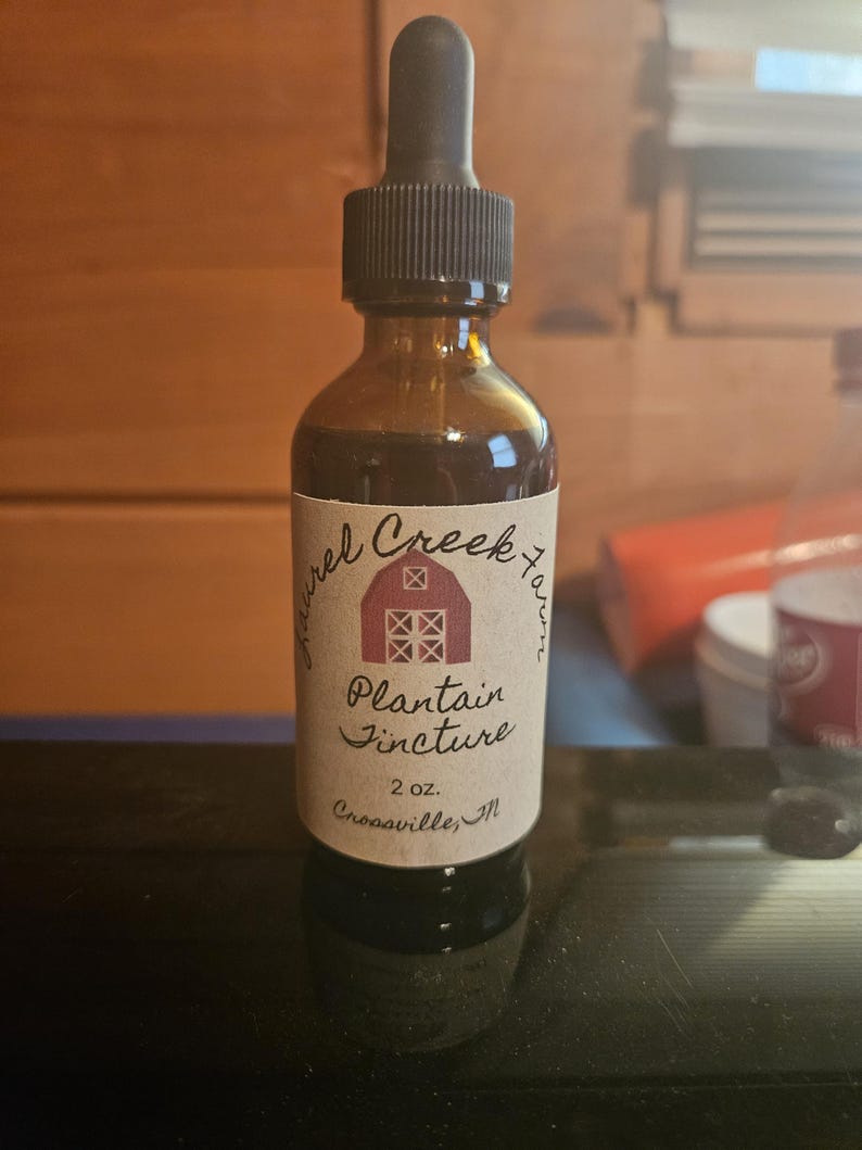 Plantain Tincture - Etsy