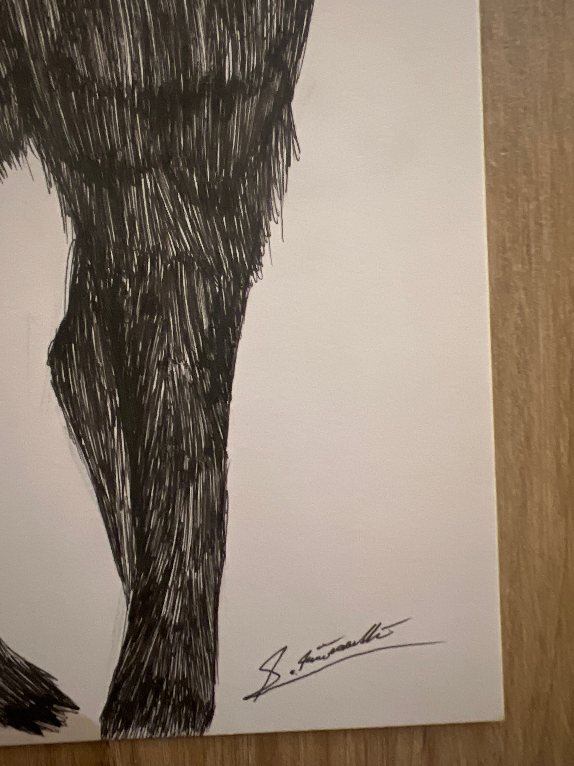 Original Black on White Sketch of Fox Walking, 14x14 Pen and Ink - Etsy