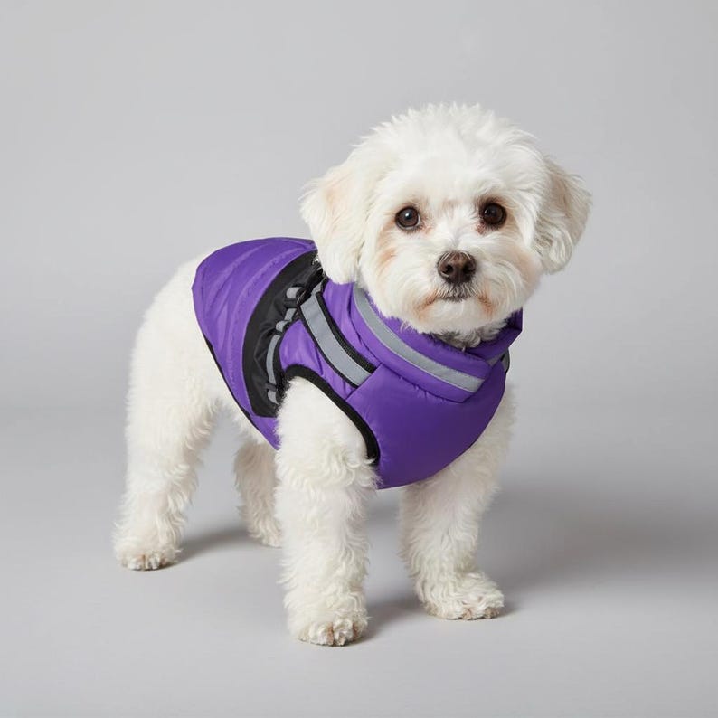 Custom Dog Jacket With Harness, Waterproof Dog Coat, Warm Winter Dog ...