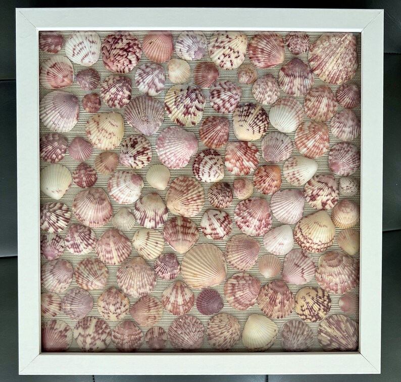 Handmade Pink Sea Shell Art in White Shadow Box - Etsy