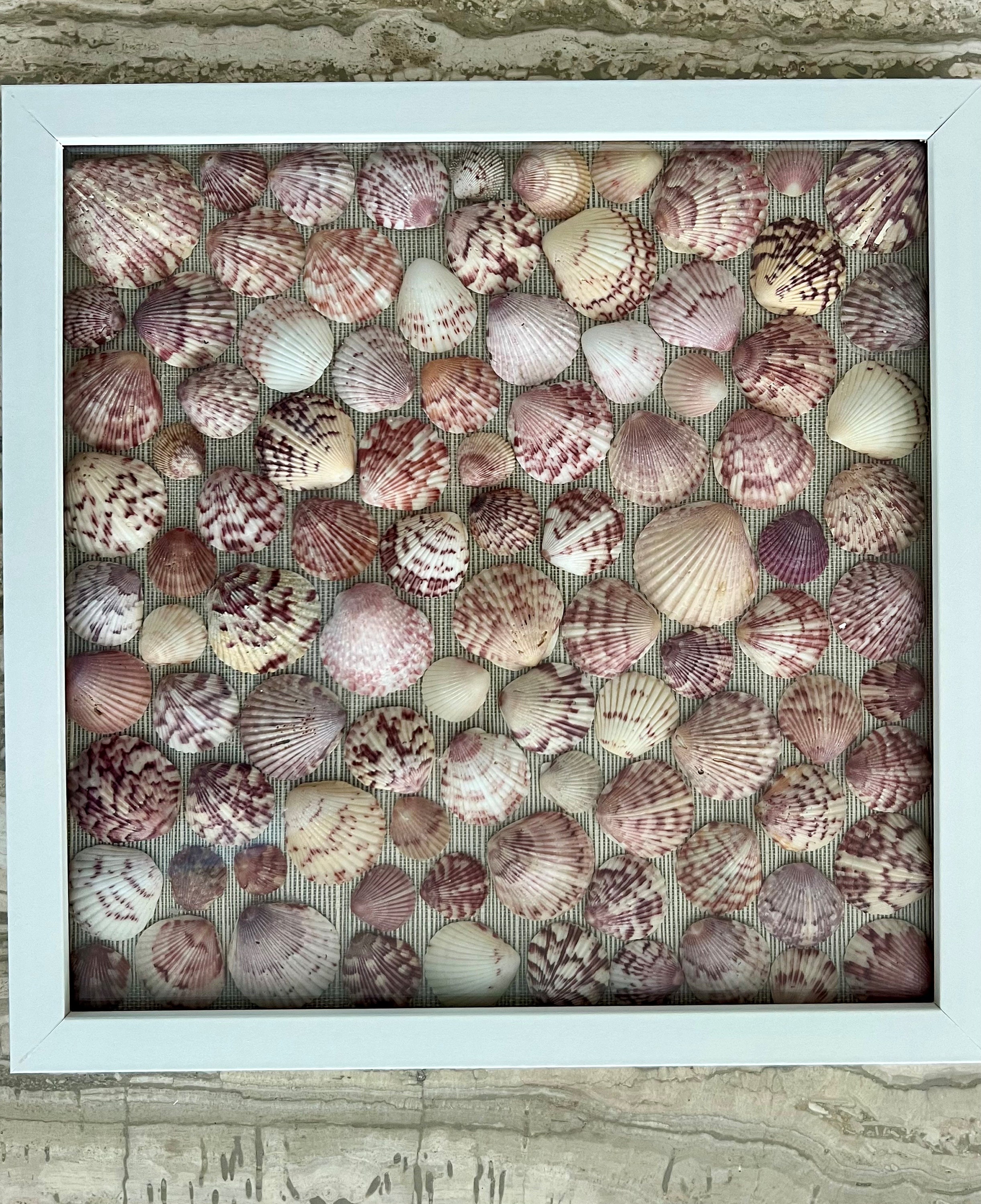 Handmade Pink Sea Shell Art in White Shadow Box - Etsy