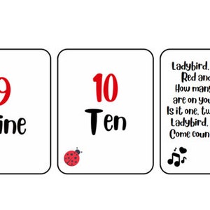 Mrs Ladybird's Count to 10 Flashcards and Counting Mat Digital Download ...