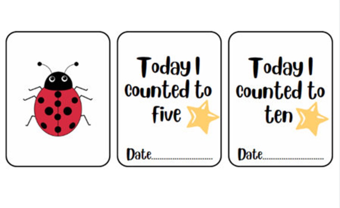 Mrs Ladybird's Count to 10 Flashcards and Counting Mat Digital Download ...