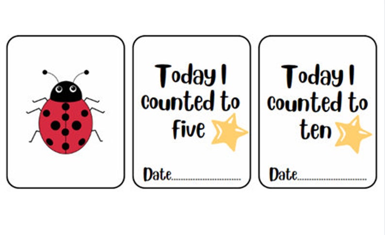 Mrs Ladybird's Count to 10 Flashcards and Counting Mat Digital Download ...
