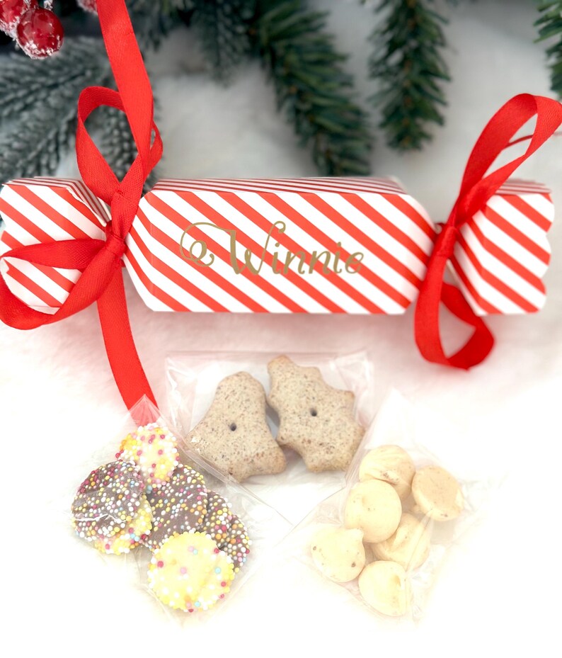 Personalised Dog Christmas Cracker: Handmade by Canine Candy - Etsy UK