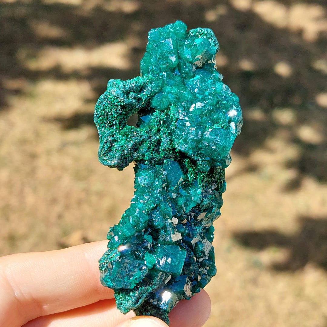 FLOATER Dioptase & Malachite Pseudomorph After Baryte Kapata Kolwezi ...