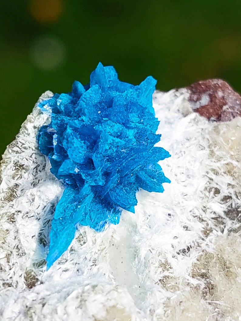BIG Cavansite / Pentagonite & Stilbite on Matrix Minerals Specimens ...