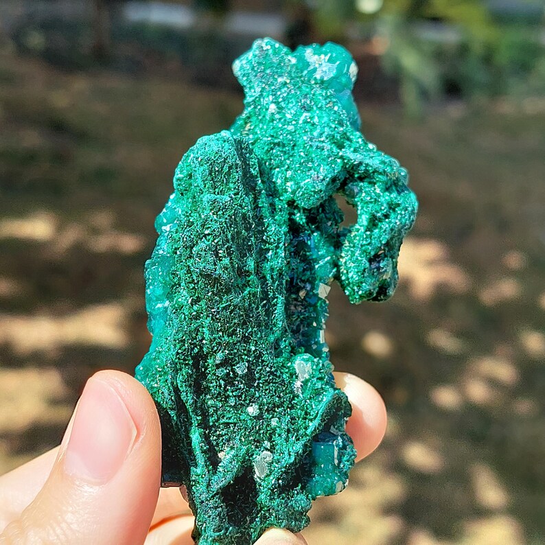 FLOATER Dioptase & Malachite Pseudomorph After Baryte Kapata Kolwezi ...