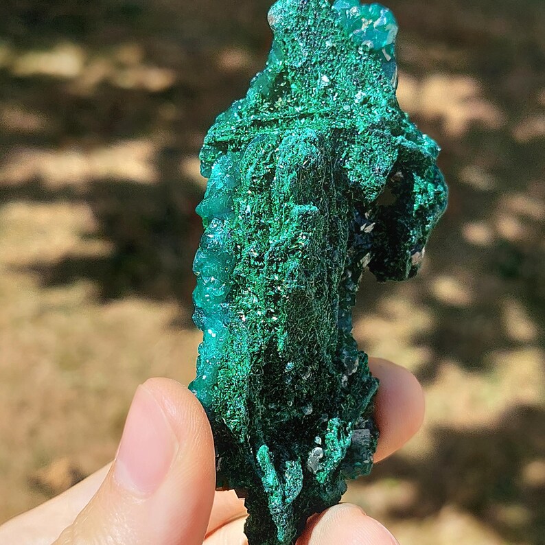 FLOATER Dioptase & Malachite Pseudomorph After Baryte Kapata Kolwezi ...