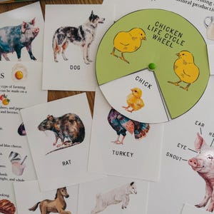 Farm Animals Unit Study, MEGA 191 Page PDF, Morning Basket, Homeschool ...