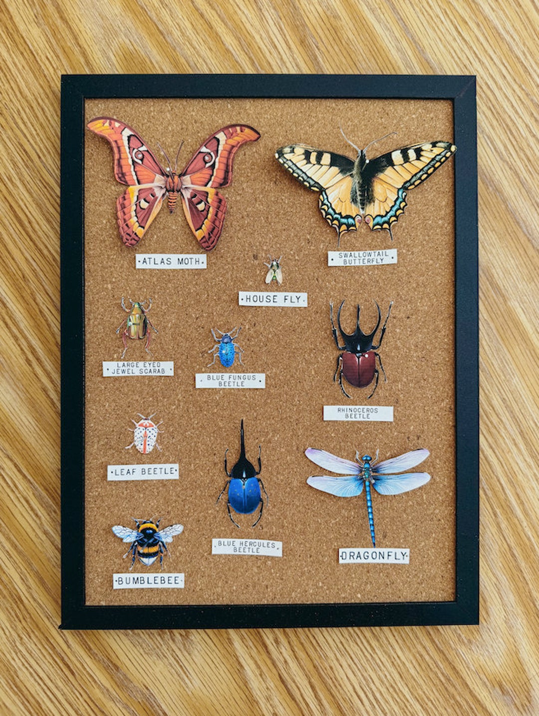 Bug Collection Paper Taxidermy, Homeschool, Learning Resource ...