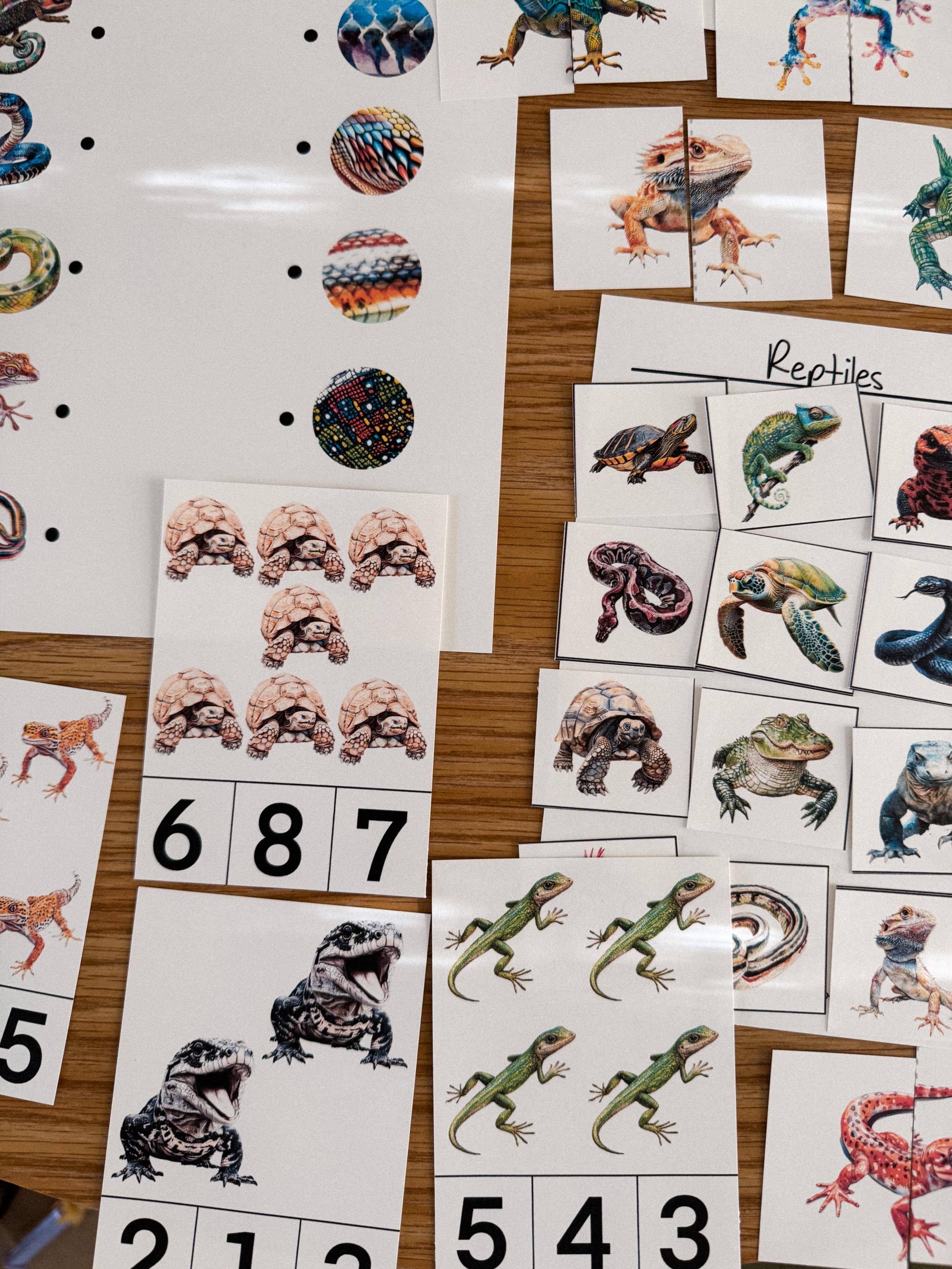 Reptiles Unit Study, Homeschool, Learning Resource, Printable, Nature ...