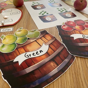 Apples Unit Study, 40 Page PDF, Morning Basket, Homeschool, Learning ...